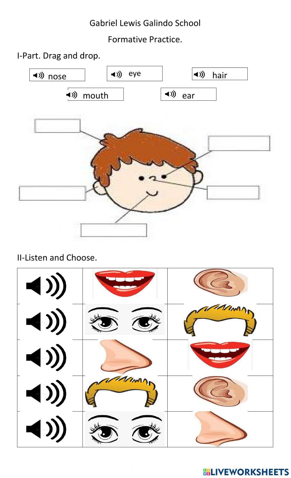 My Face Formative practice worksheet | Live Worksheets