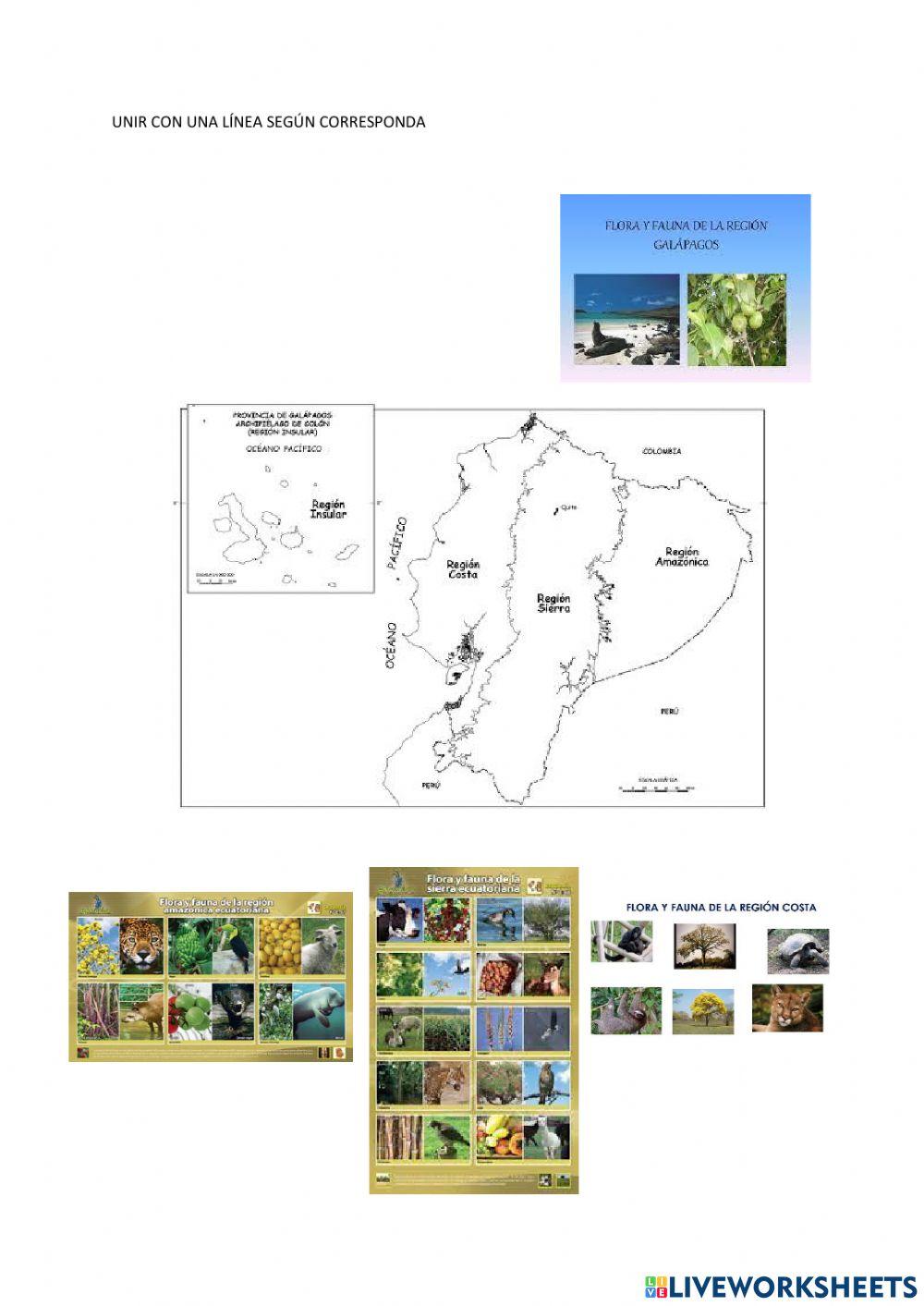 Flora y fauna d… | Free Interactive Worksheets | 924763