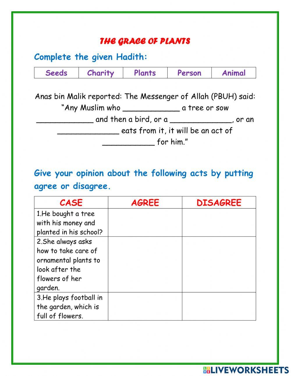 The Grace of Pl… | Free Interactive Worksheets | 925770
