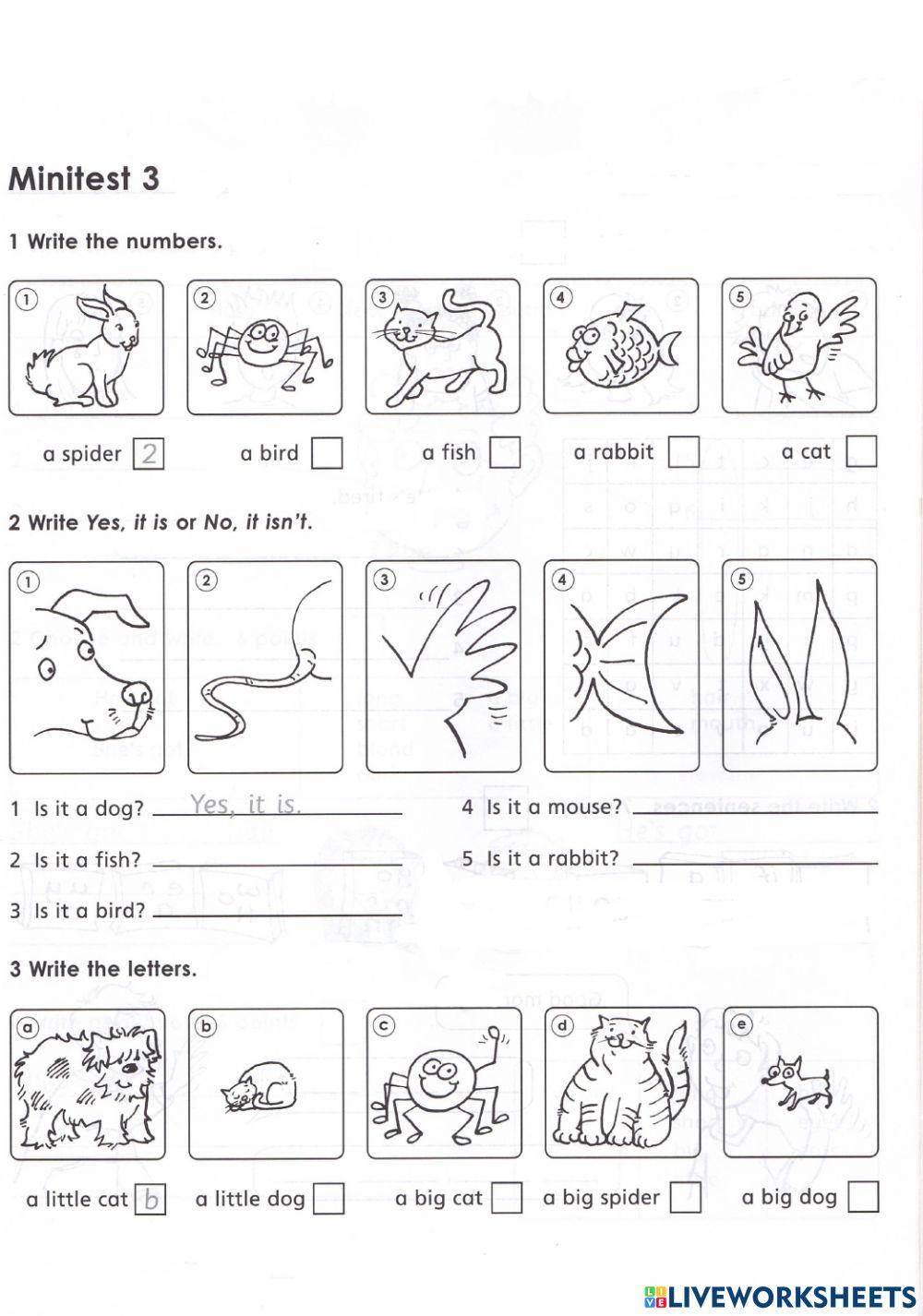 AJ-Mini test-Chit chat 1 online exercise for | Live Worksheets