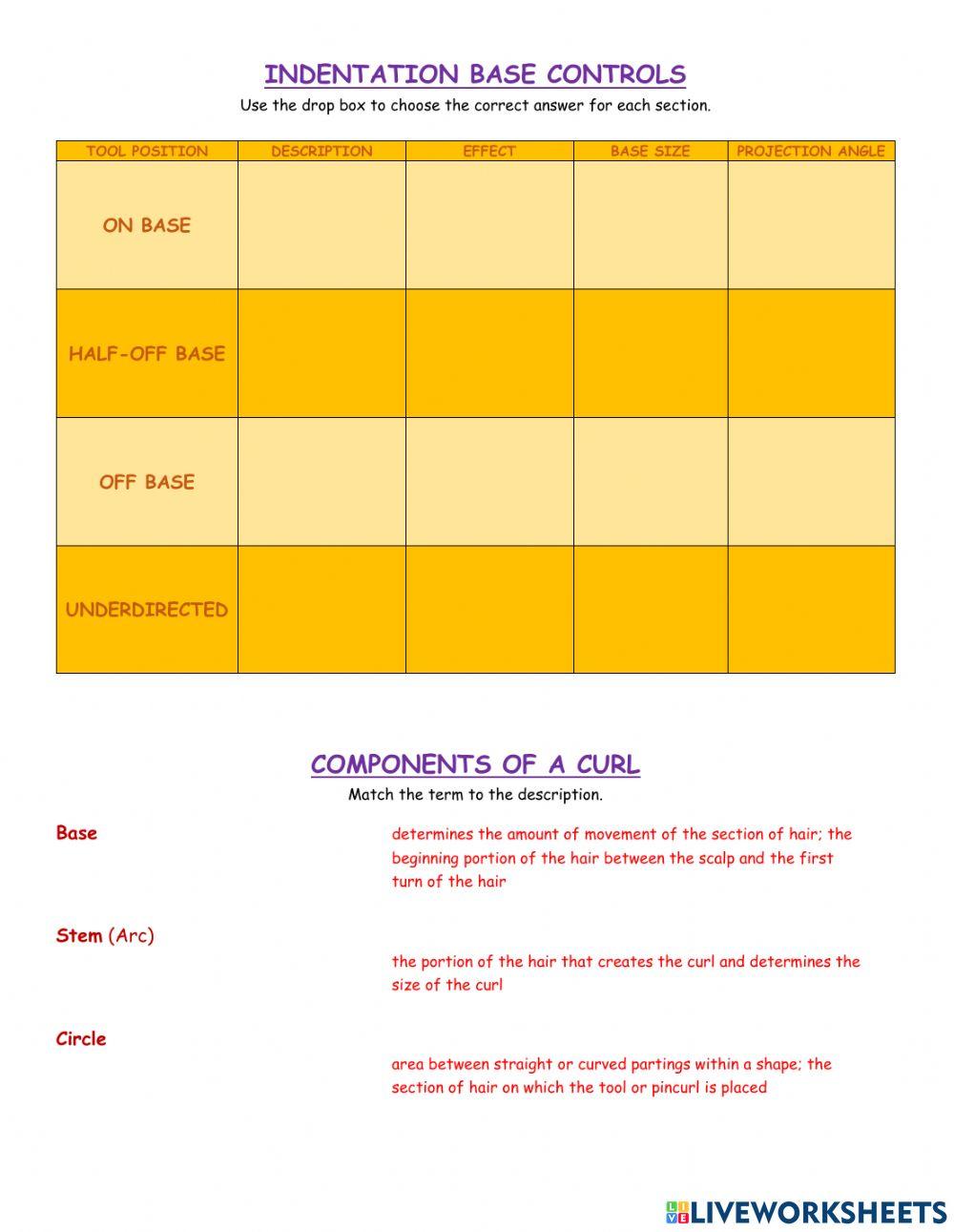 Base Control & Curl worksheet | Live Worksheets