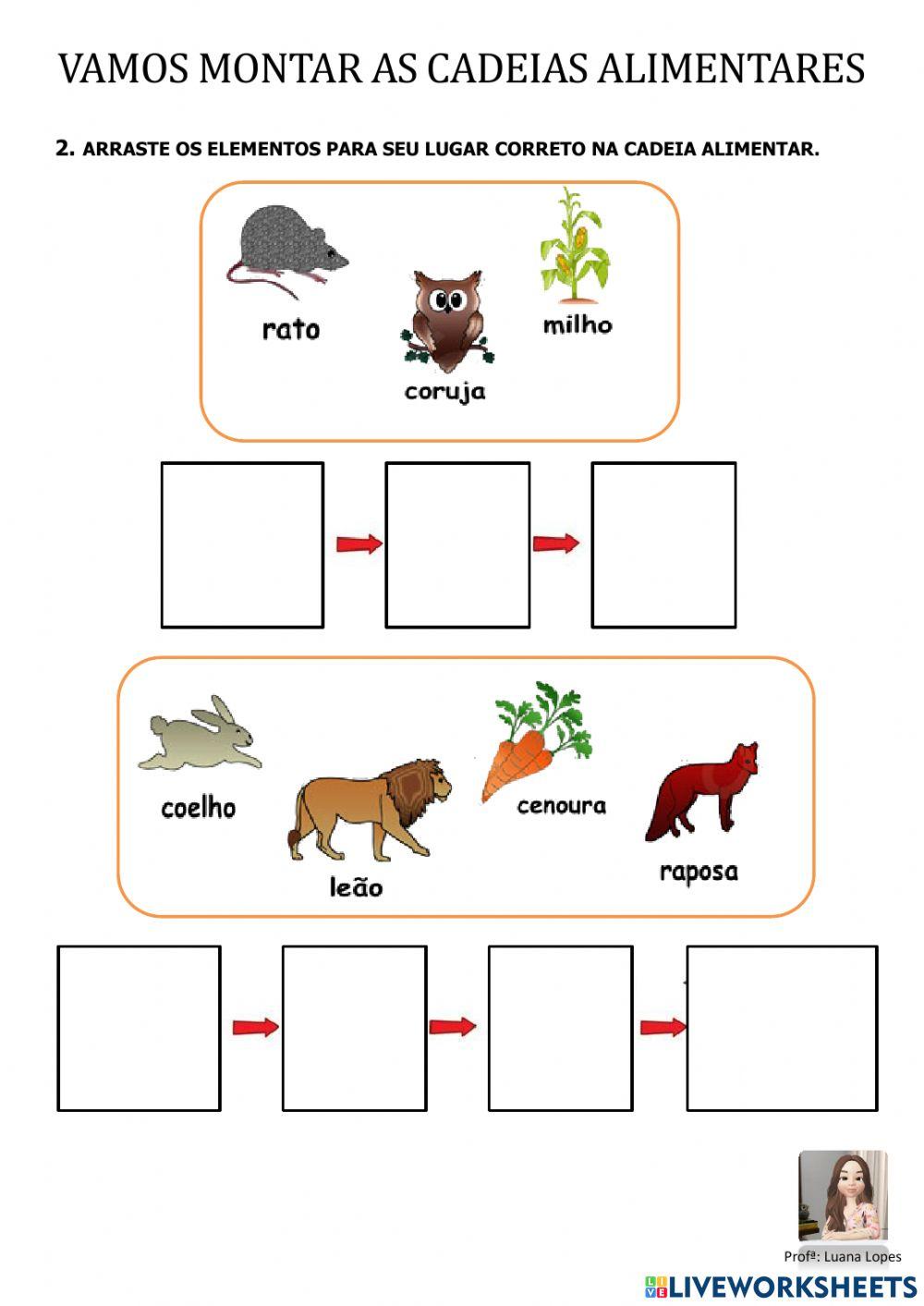 Atividade Da Cadeia Alimentar Da Coruja
