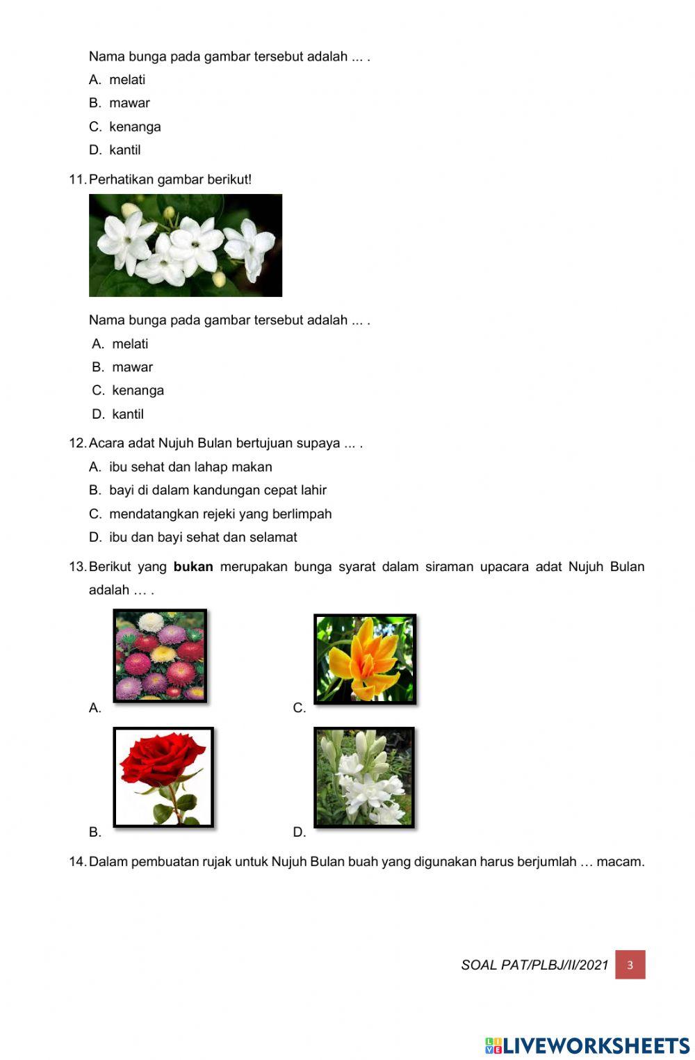 Soal PAT PLBJ worksheet | Live Worksheets