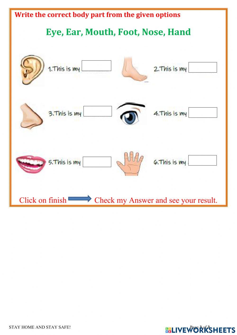 Lkg EVS Worksheet Live Worksheets, 49% OFF