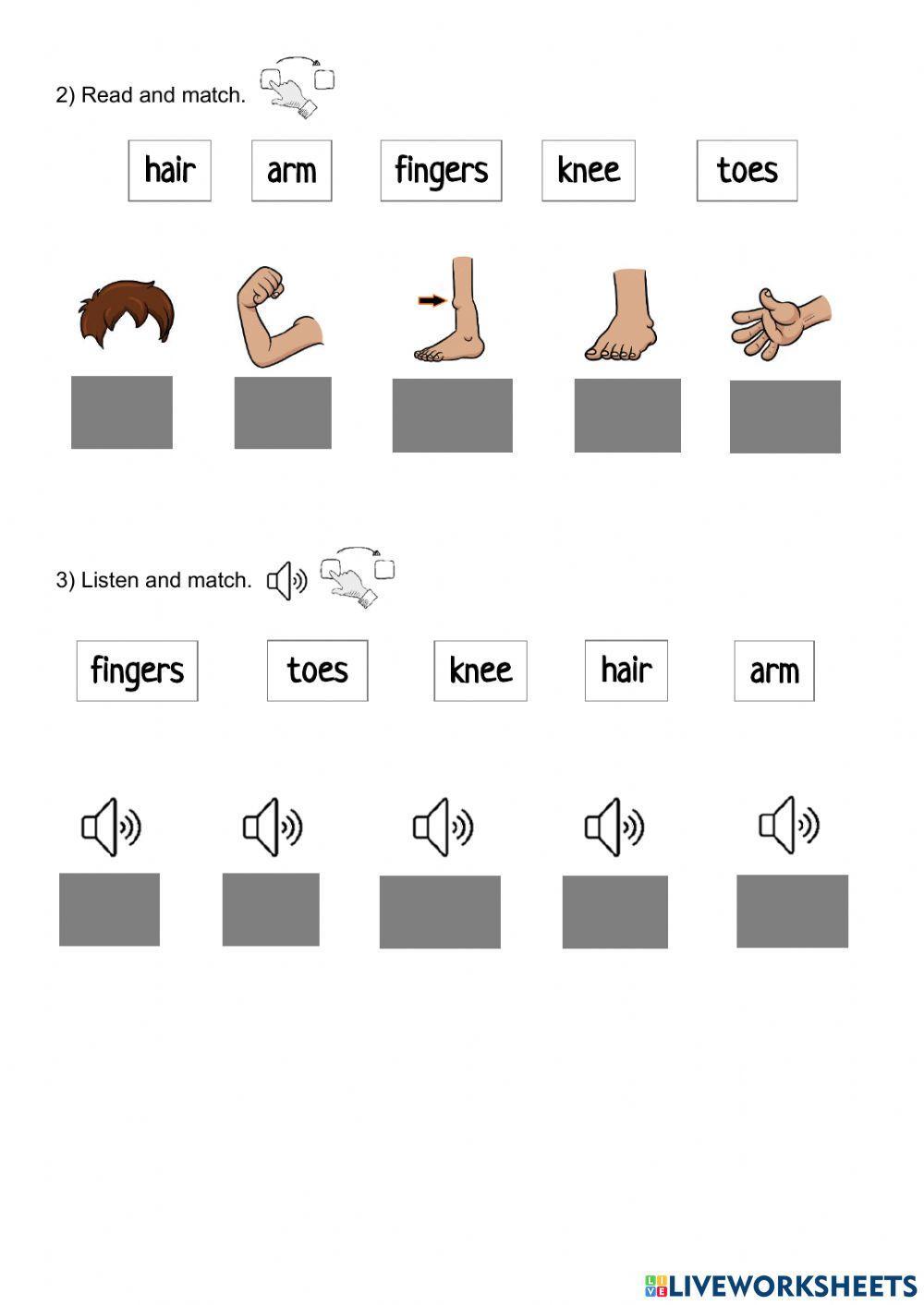 First Friends 1… | Free Interactive Worksheets | 928018