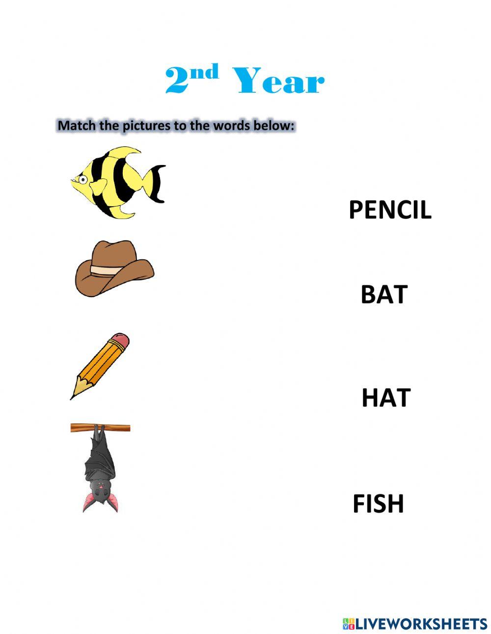 2nd Year Matching interactive worksheet | Live Worksheets