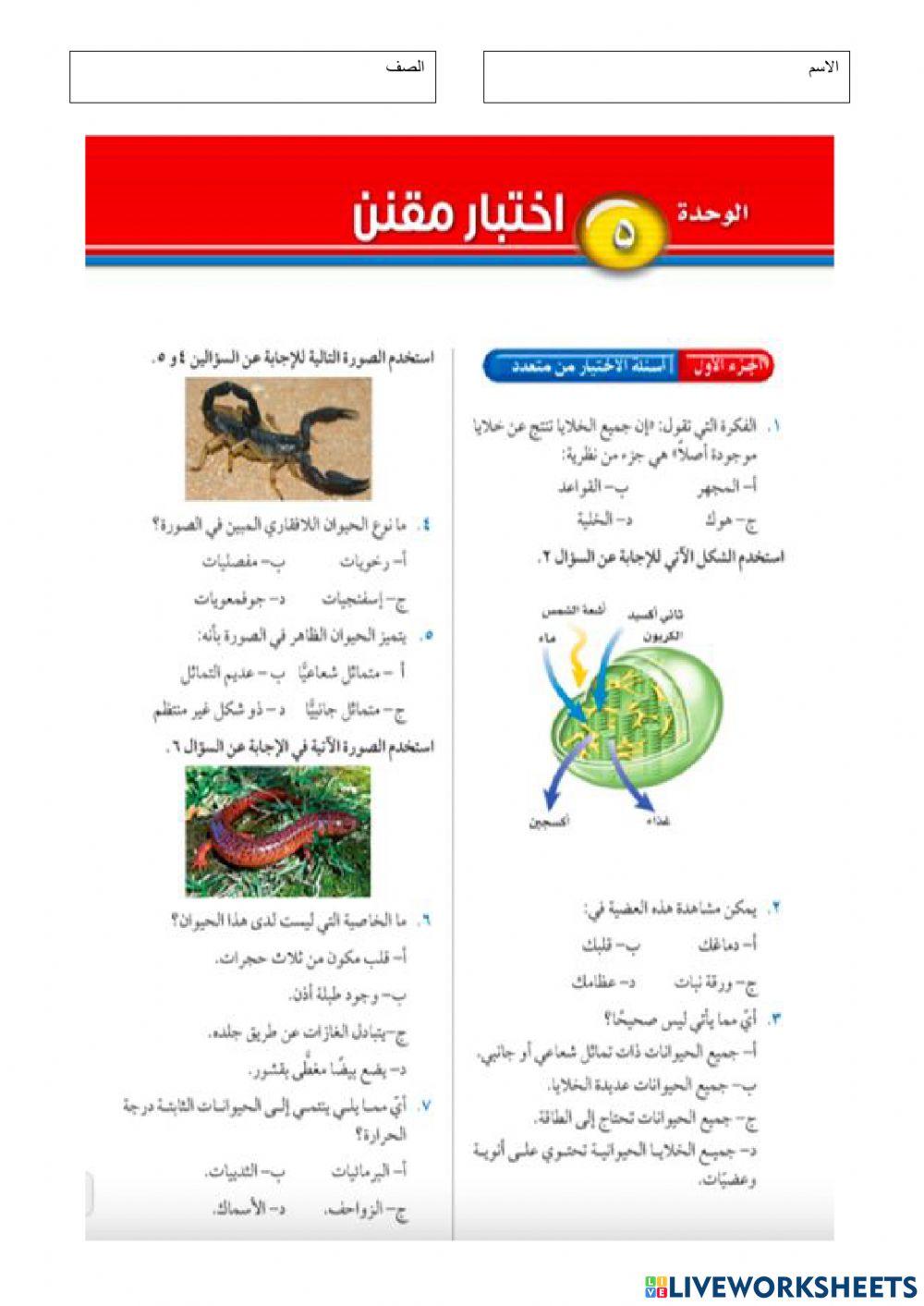 4970118 | اختبار مقنن الوحدة ٥ | mahaoo | LiveWorksheets