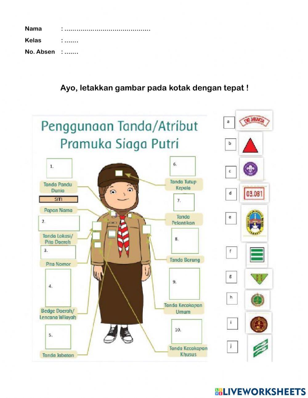 Atribut Siaga Putri 930446 | Rini_Jimbaran_Wetan | Live