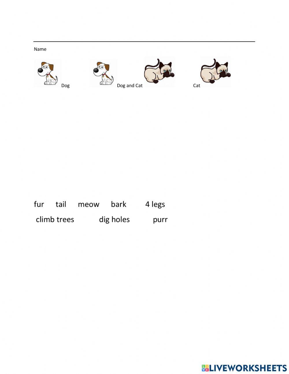 Comparing online worksheet for Kindergarten | Live Worksheets