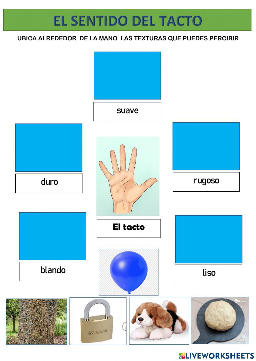 Sentido Del Tacto Para Niños