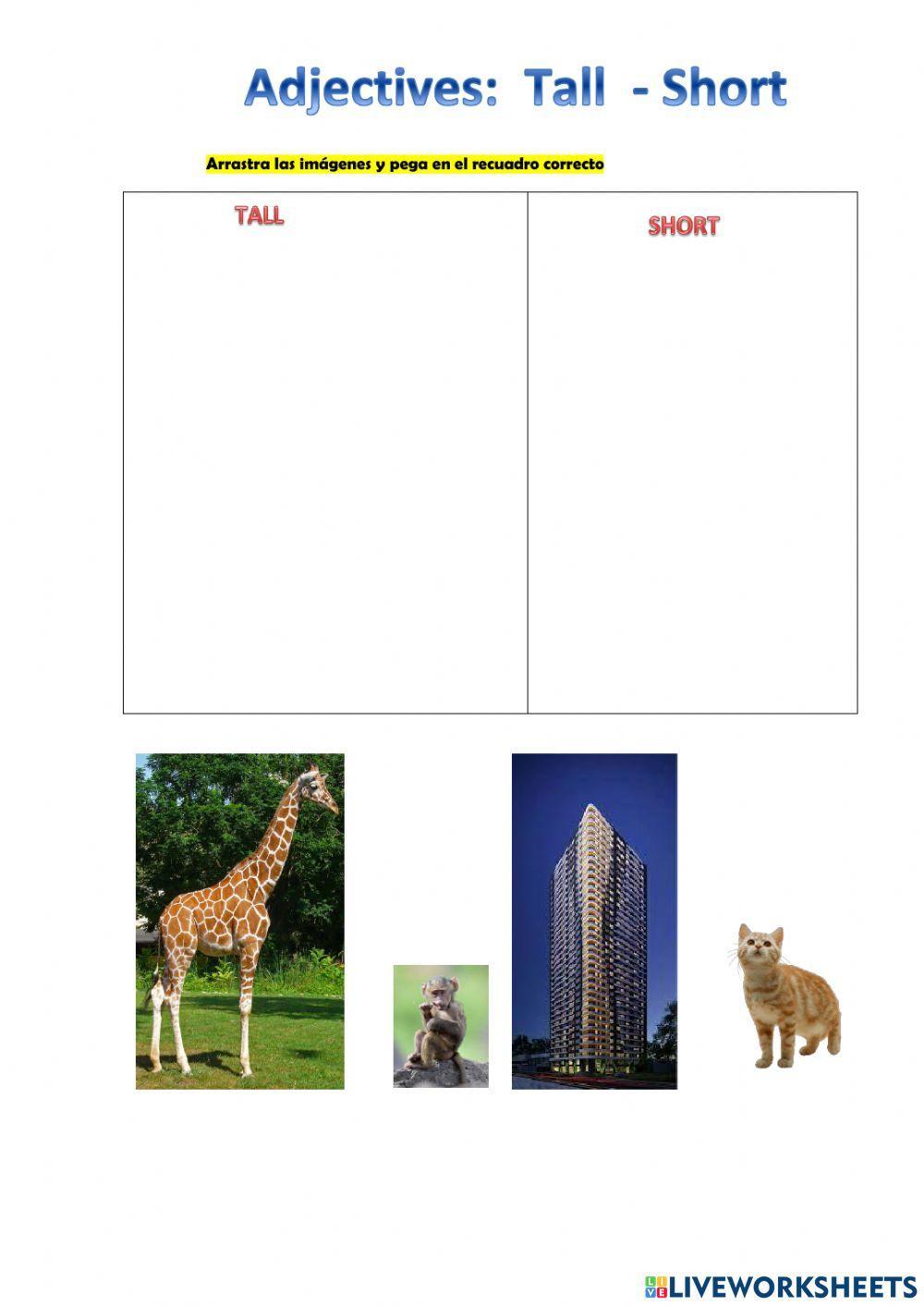 Adjectives online exercise for elementary | Live Worksheets
