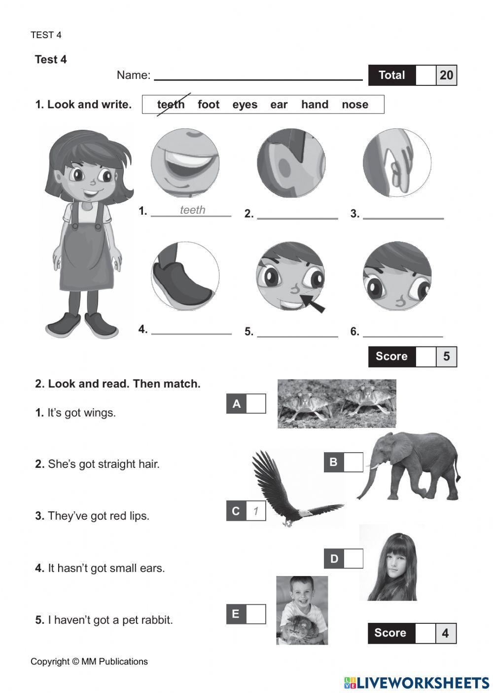 Test 4 - Young … | Free Interactive Worksheets | 6551283