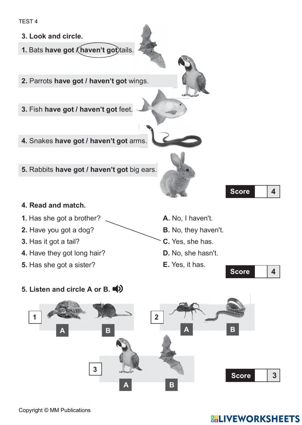 Test 4 - Young … | Free Interactive Worksheets | 6551283