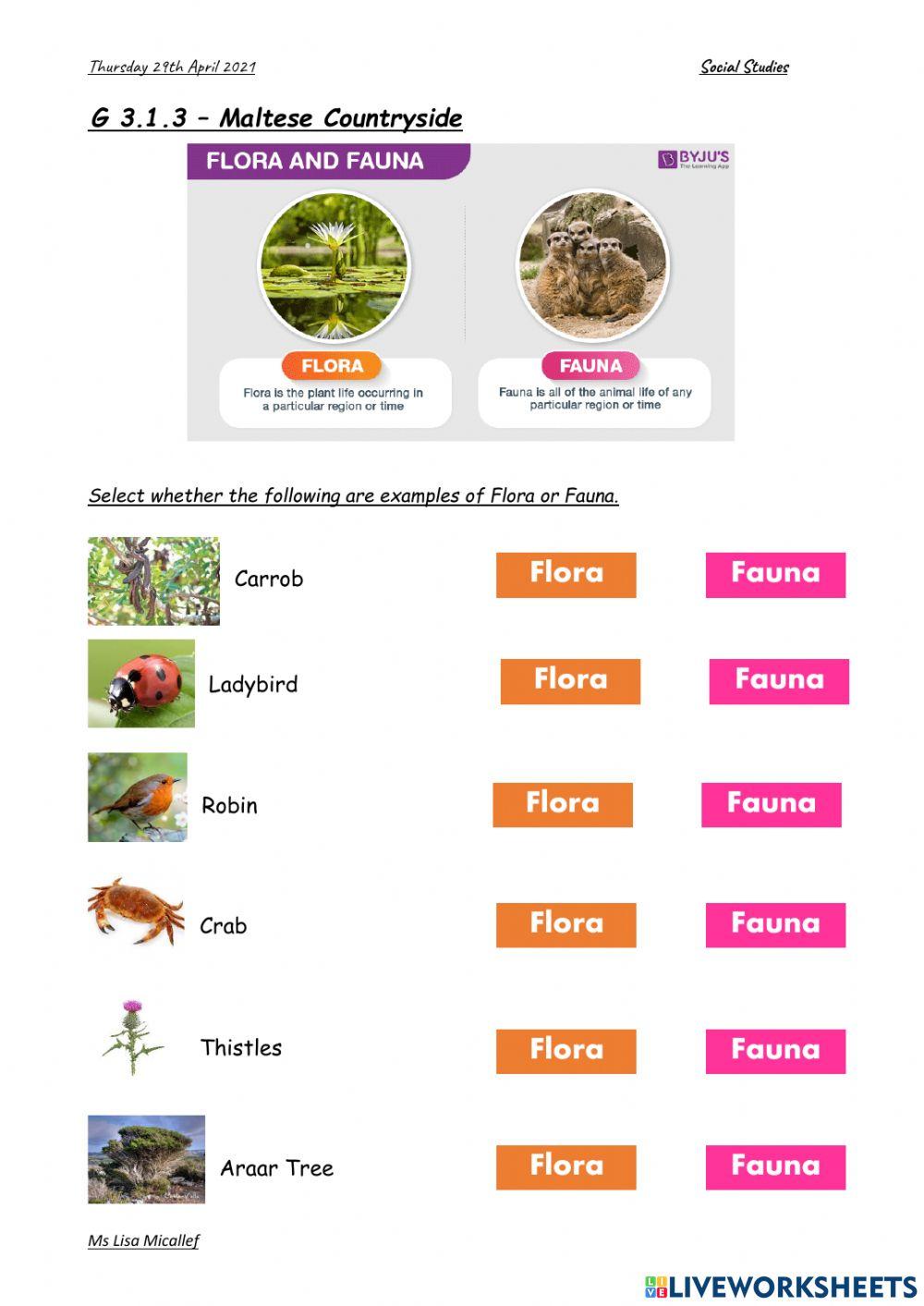 934704 | Flora & Fauna | lisamicallef | LiveWorksheets
