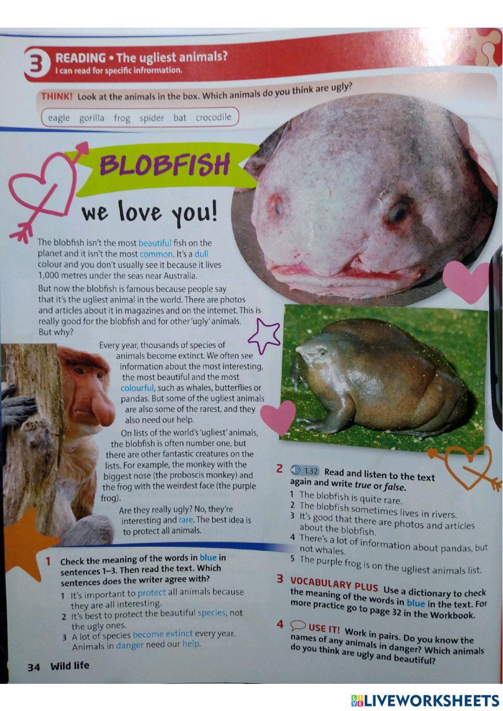 Superlatives and comparatives with reading comprehension online ...