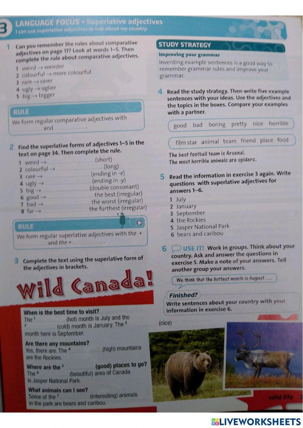 Superlatives and comparatives with reading comprehension online ...