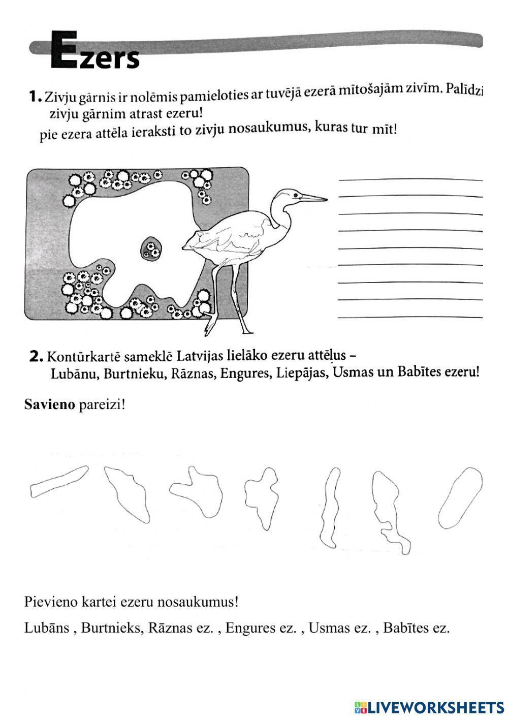 938485 | Ezers | RitaAR | LiveWorksheets