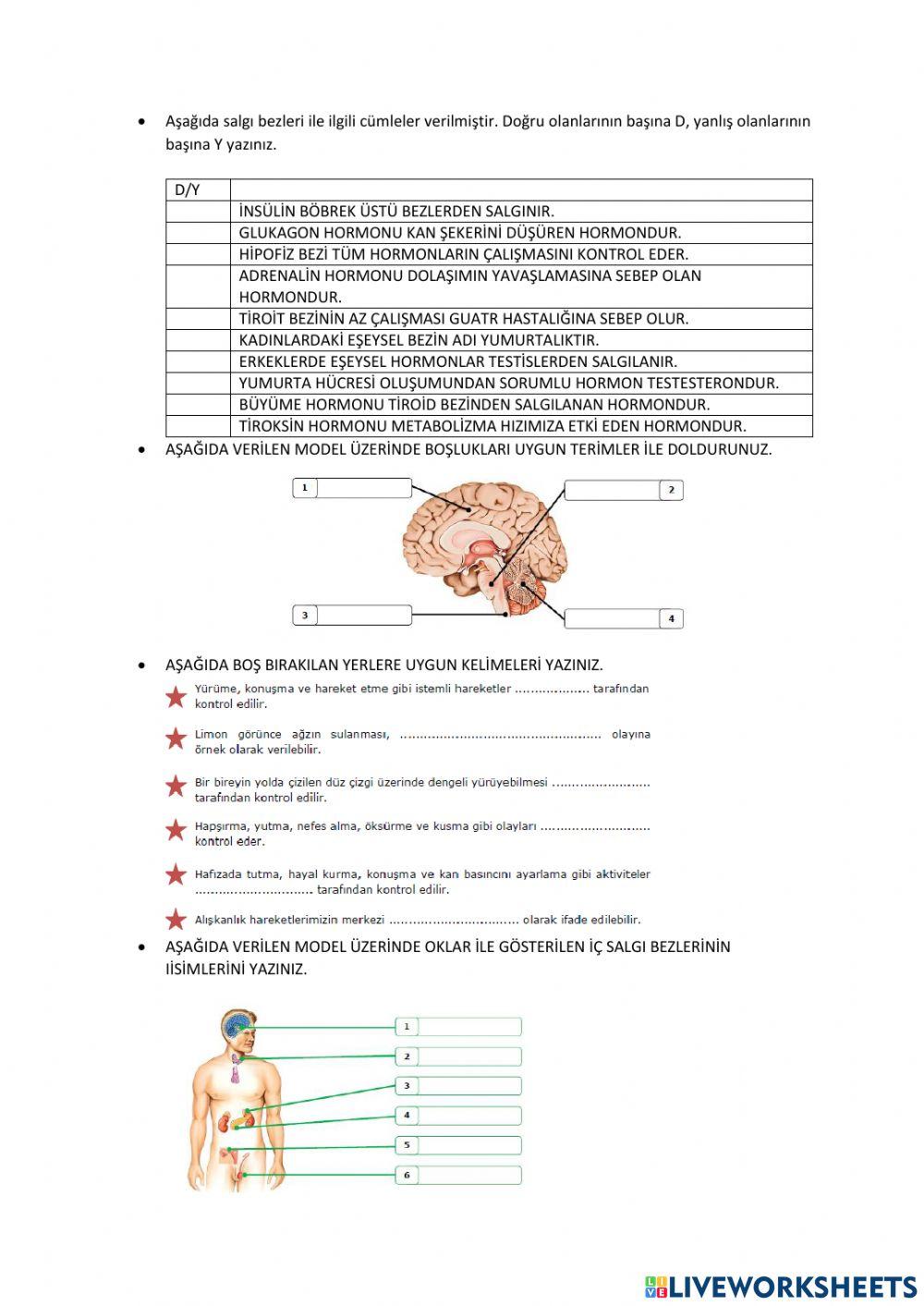 İç 938999 | TAMAR | Live Worksheets