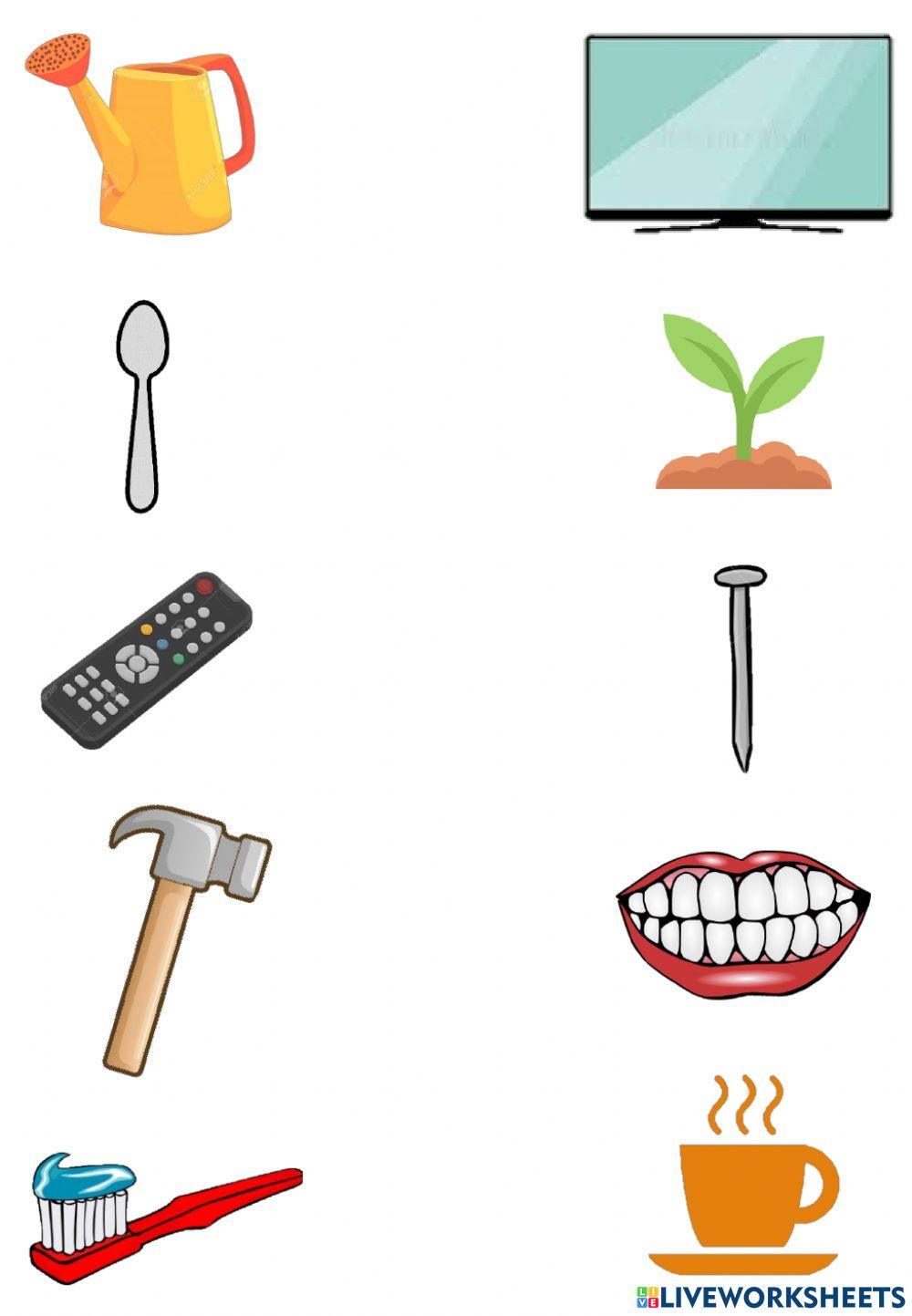 Objeto y su función 2317 | juliechenique | Live