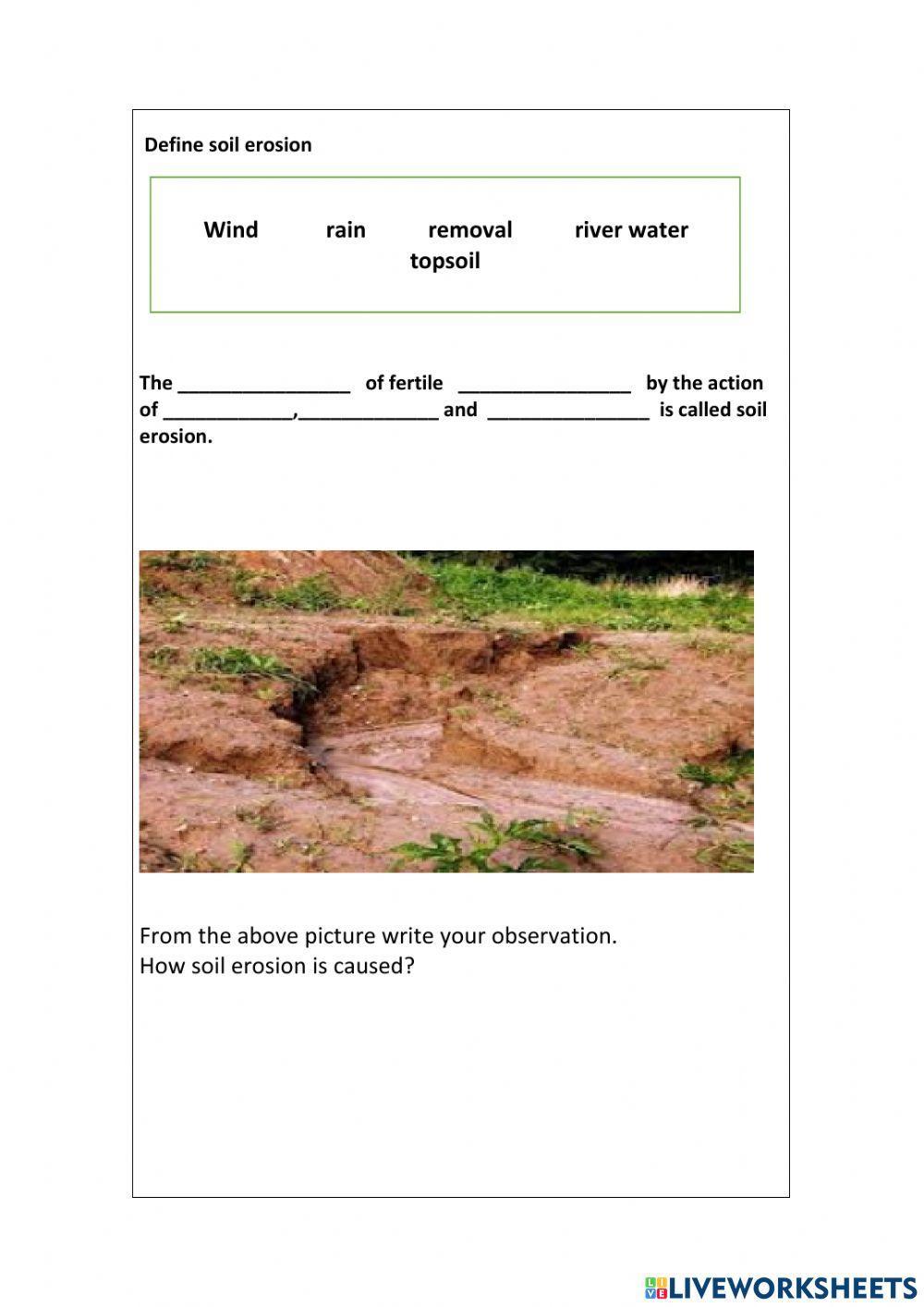 Soil erosion | Free Interactive Worksheets | 943489