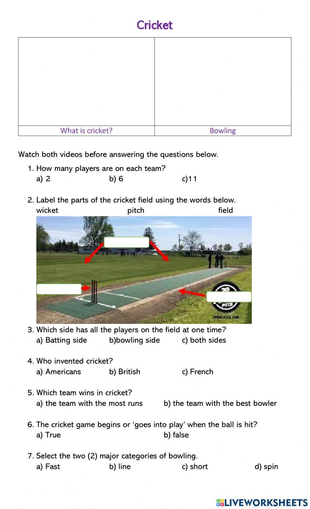 Cricket | Free Interactive Worksheets | 942053