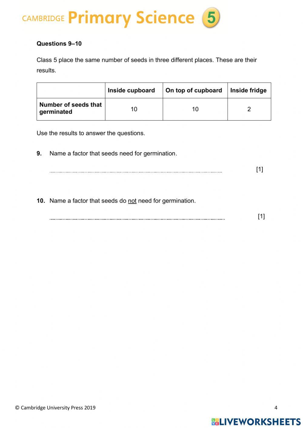 year 5 unit 1 test | LilianCZW | Live Worksheets