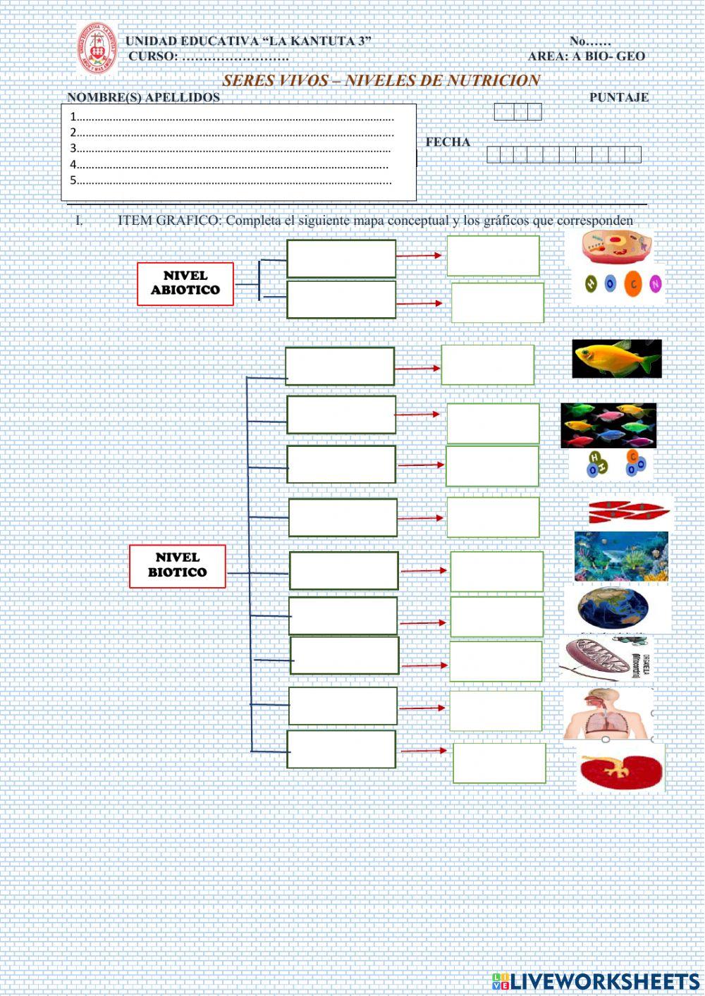 SERES VIVOS-NIVELES DE ORGANIZACION 2º worksheet | Live Worksheets SERES VIVOS-NIVELES DE ORGANIZACION 2º worksheet | Live Worksheets