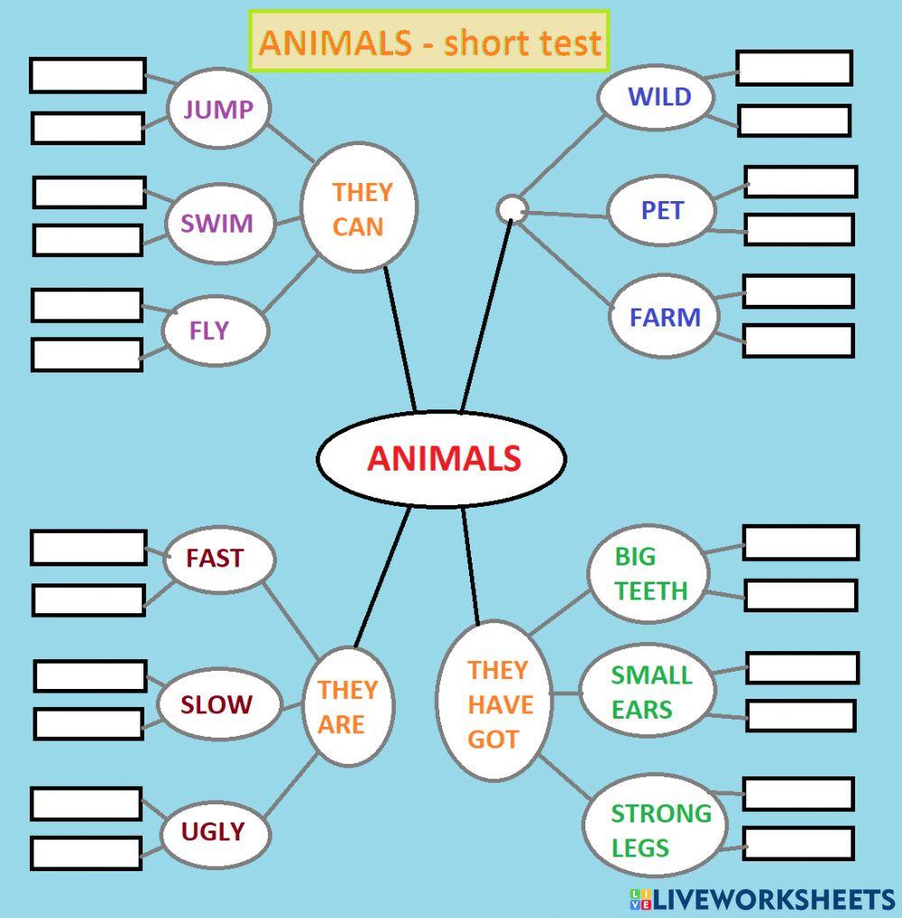 English Class A… | Free Interactive Worksheets | 4980495