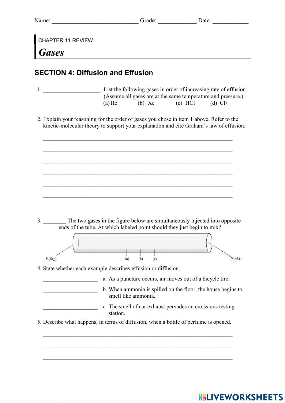 Diffusion and E… | Free Interactive Worksheets | 949579
