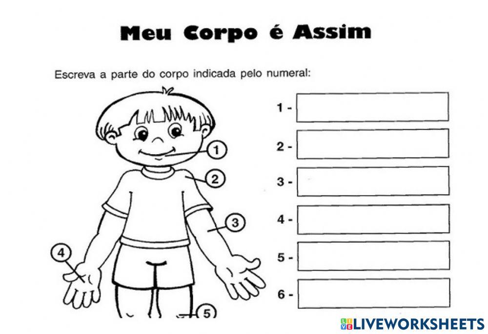 Partes Do Corpo Humano Online Activity Live Worksheets