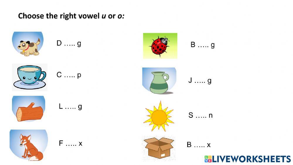 CVC o u worksheet | Live Worksheets