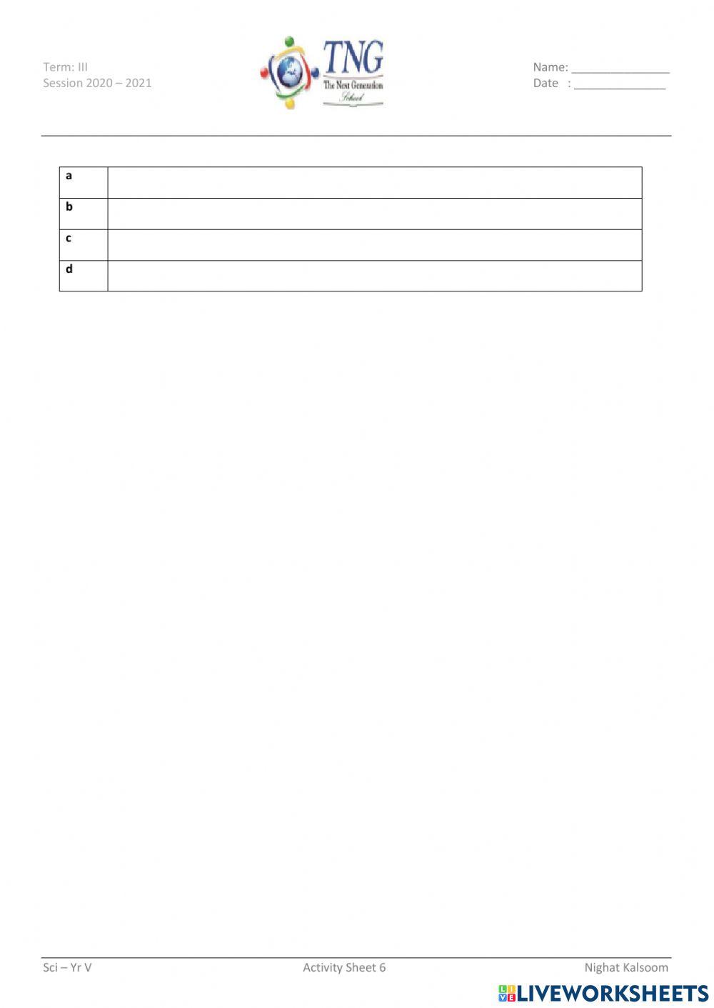 Shadow Activity sheet 6 worksheet | Live Worksheets