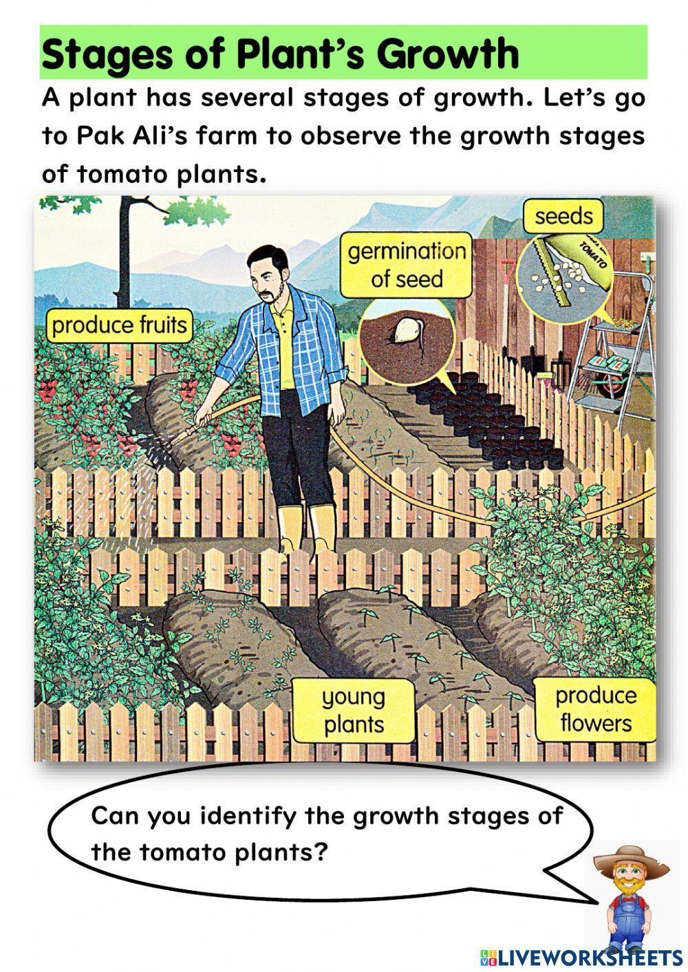 SCIENCE YEAR 2 PdPRW14 28.04.2021 worksheet | Live Worksheets