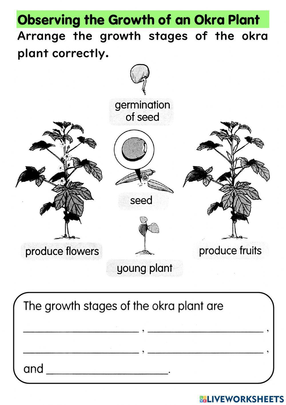 SCIENCE YEAR 2 PdPRW14 28.04.2021 worksheet | Live Worksheets