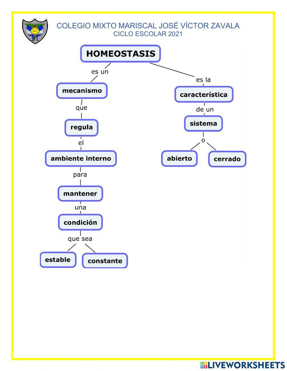 Homeostasis online activity | Live Worksheets