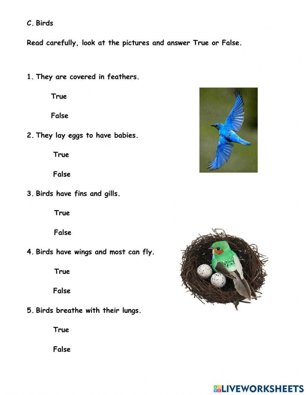 Science Test interactive worksheet for 2nd grade | Live Worksheets