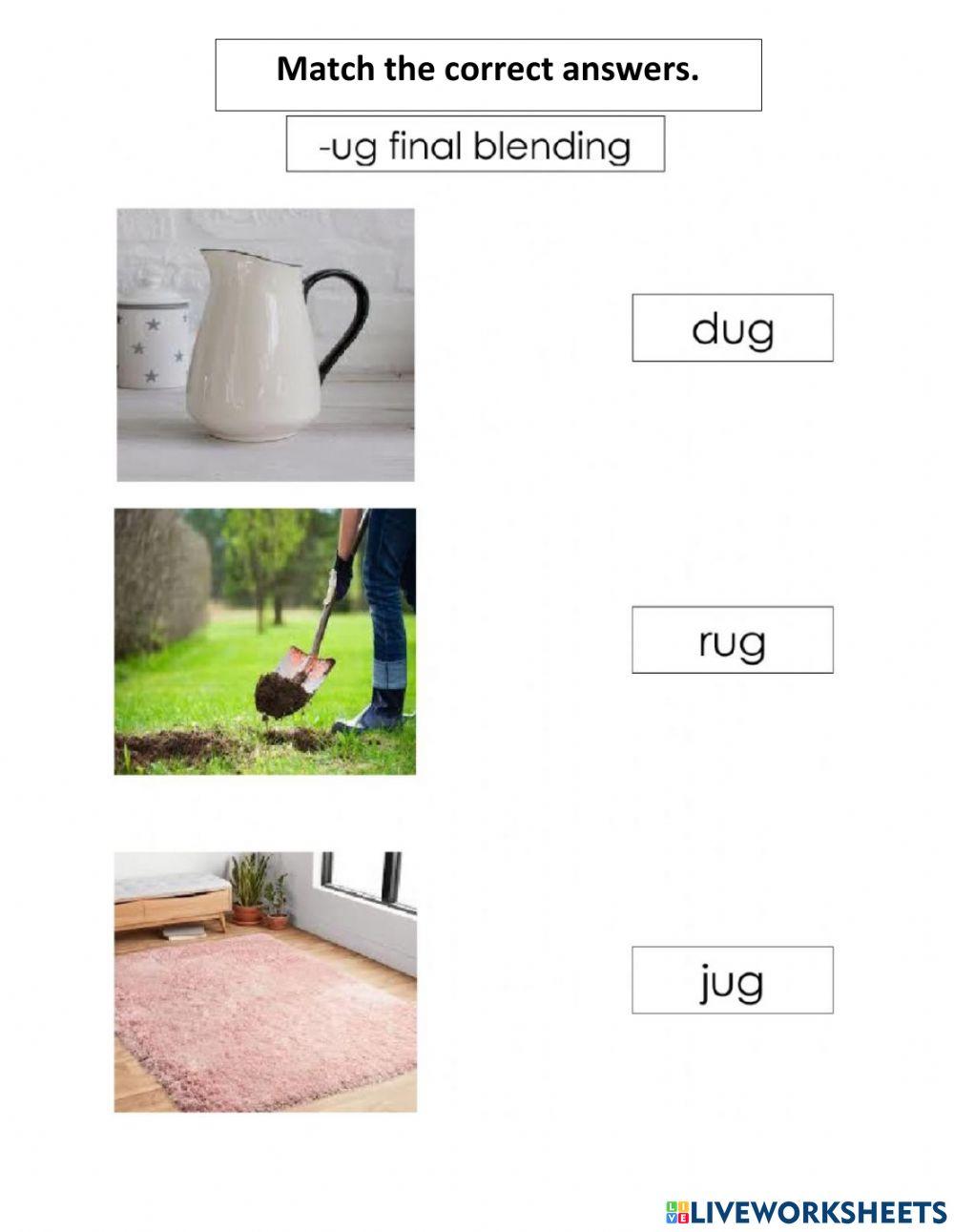 English Holiday Homework 6 worksheet | Live Worksheets