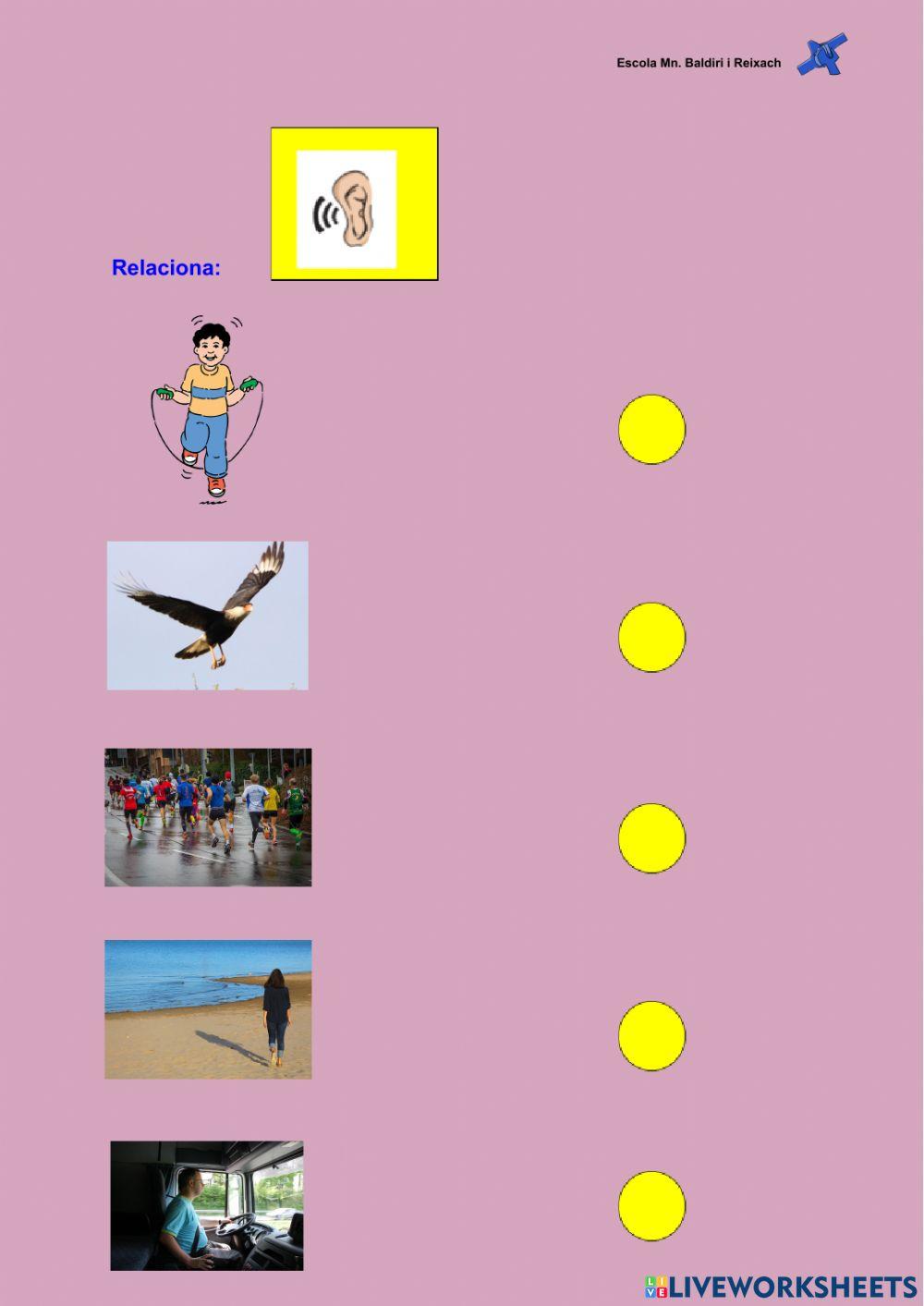 Verbs 1 (audio) worksheet | Live Worksheets