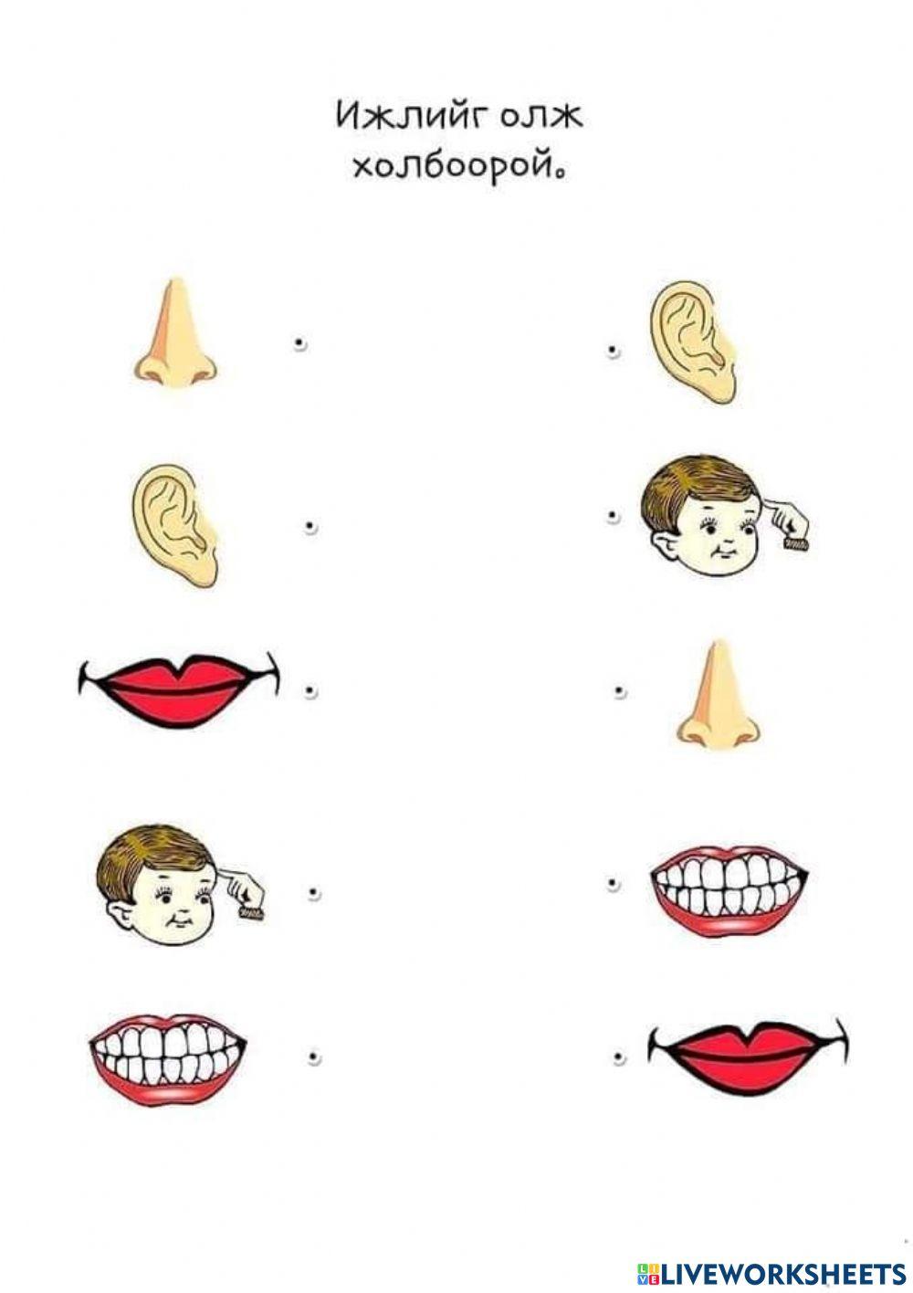 My face exercise for grade1 | Live Worksheets