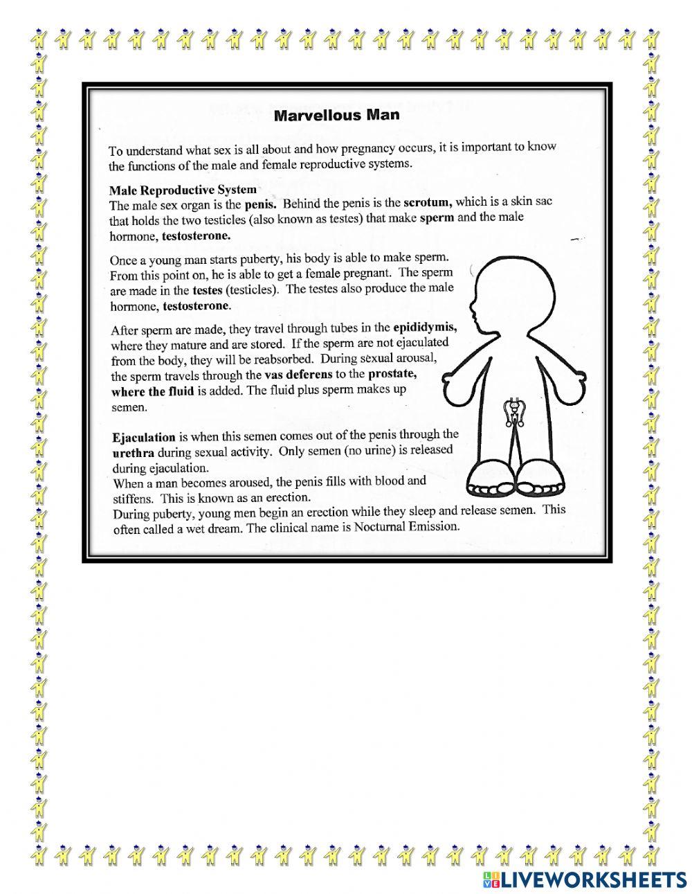 955265 | Marvelous Man | Henry McCoy | LiveWorksheets