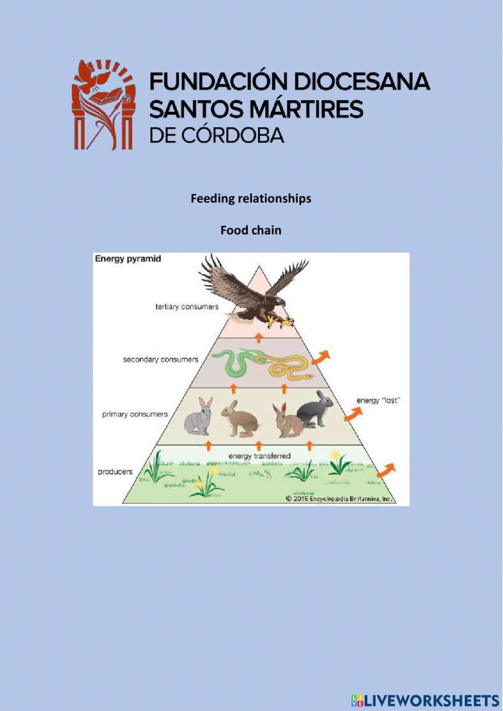 831737 | Feeding relationships, the food chain