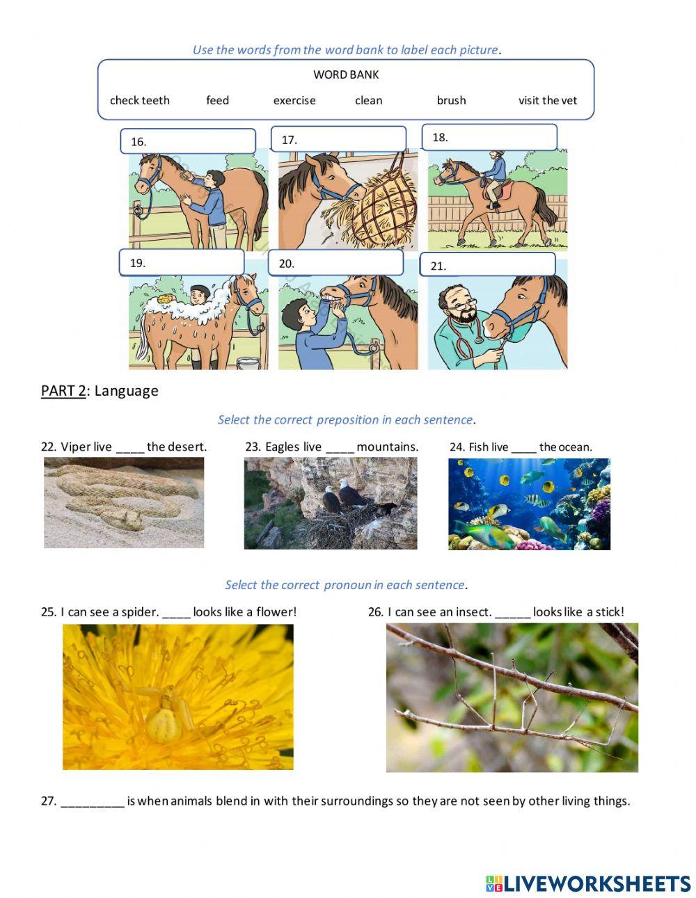 Unit 8 Lessons 1-5 worksheet | Live Worksheets