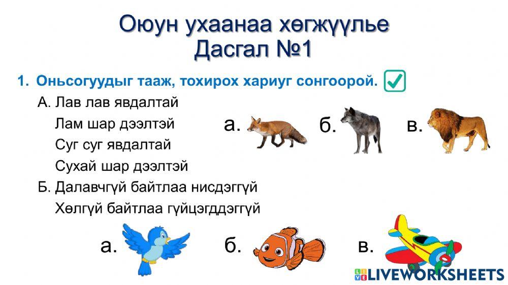 Tsogzolmaa Оюун ухаанаа хөгжүүлье 958637