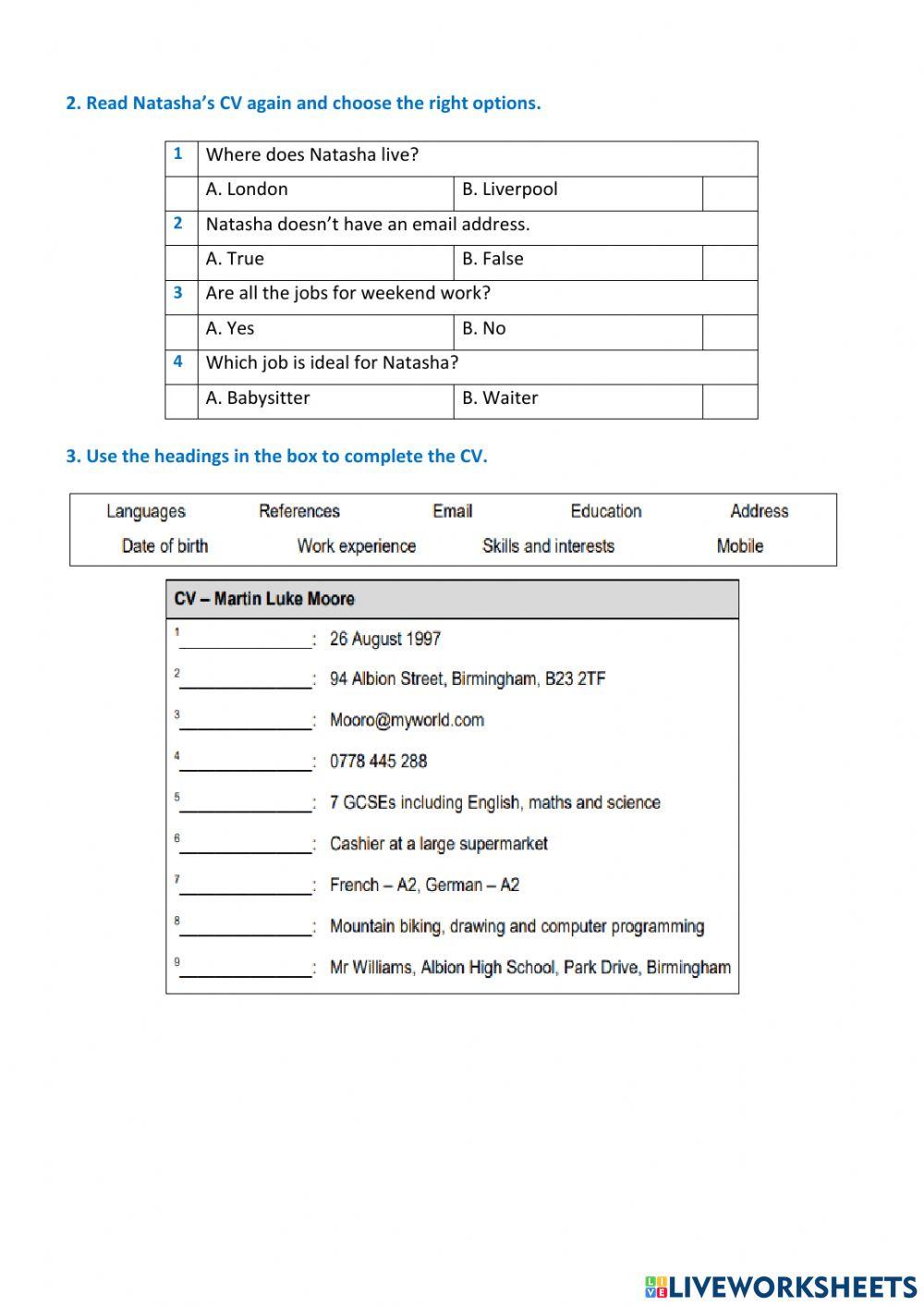 CV (Curriculum Vitae) 6566286 | LauraBocca | Live