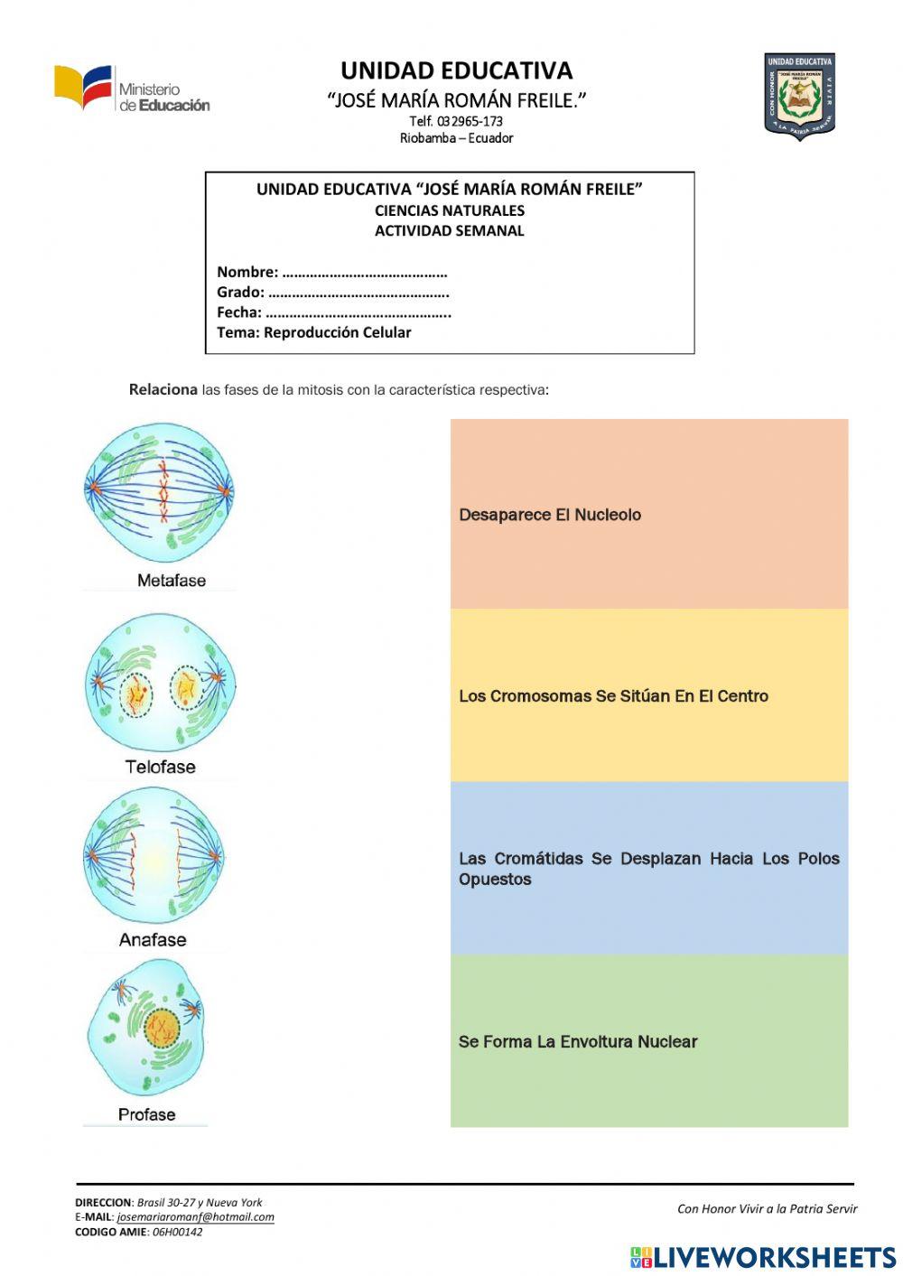S9 CCNN DEBER 8… | Free Interactive Worksheets | 2935169