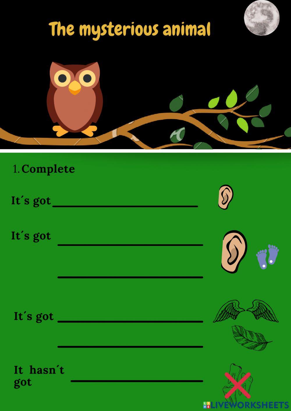 The mysterious animal activity | Live Worksheets