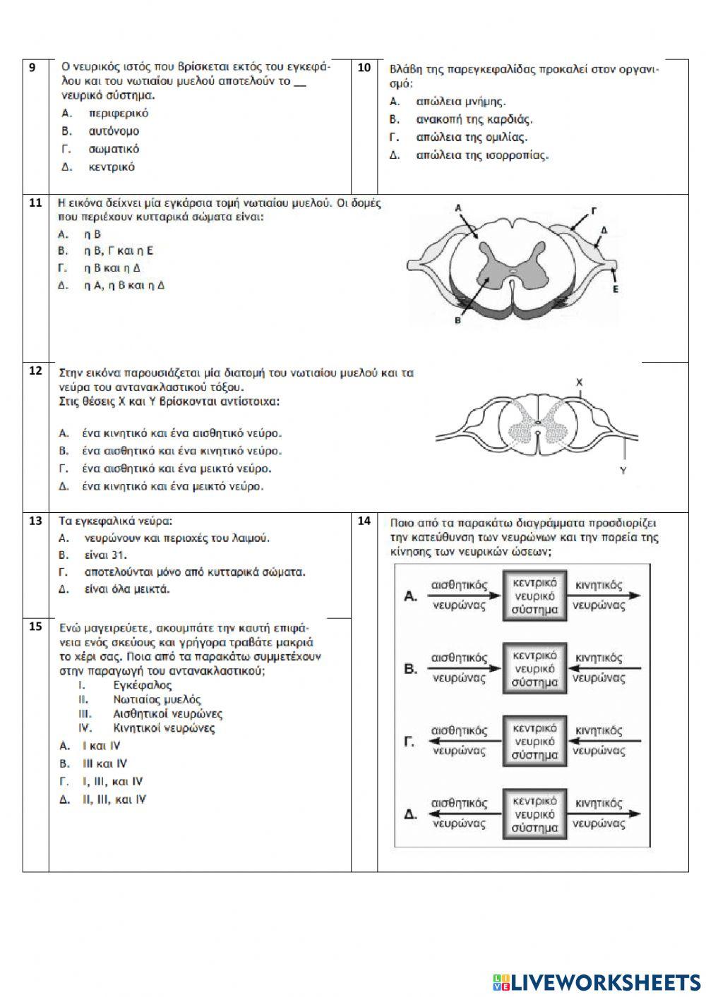 Βιολογία Α Λυκε… Free Interactive Worksheets 4931069