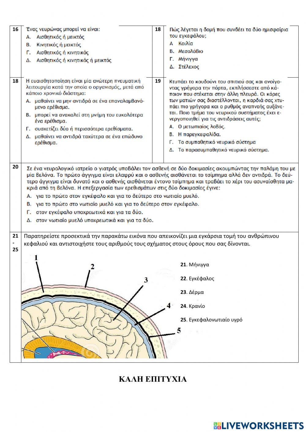 Βιολογία Α Λυκε… Free Interactive Worksheets 4931069