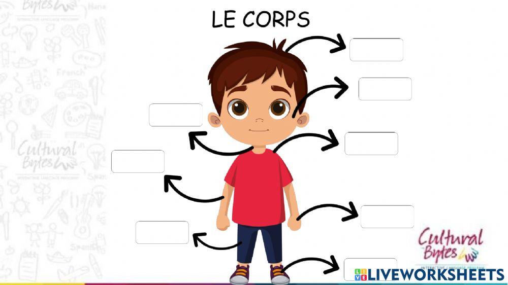 Parties du corps | Free Interactive Worksheets | 806719