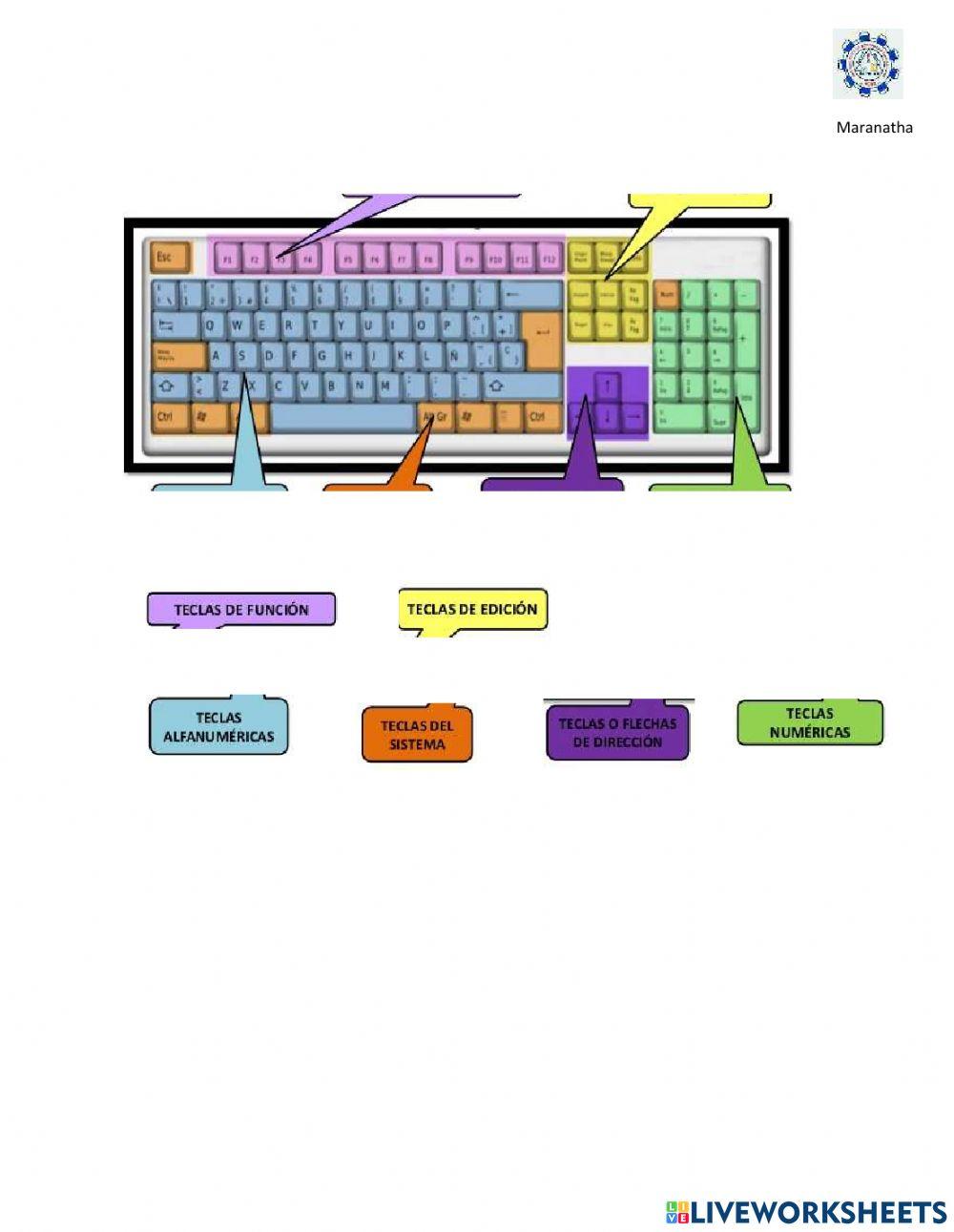 Partes Del Teclado De Pc Online Exercise For Live Worksheets